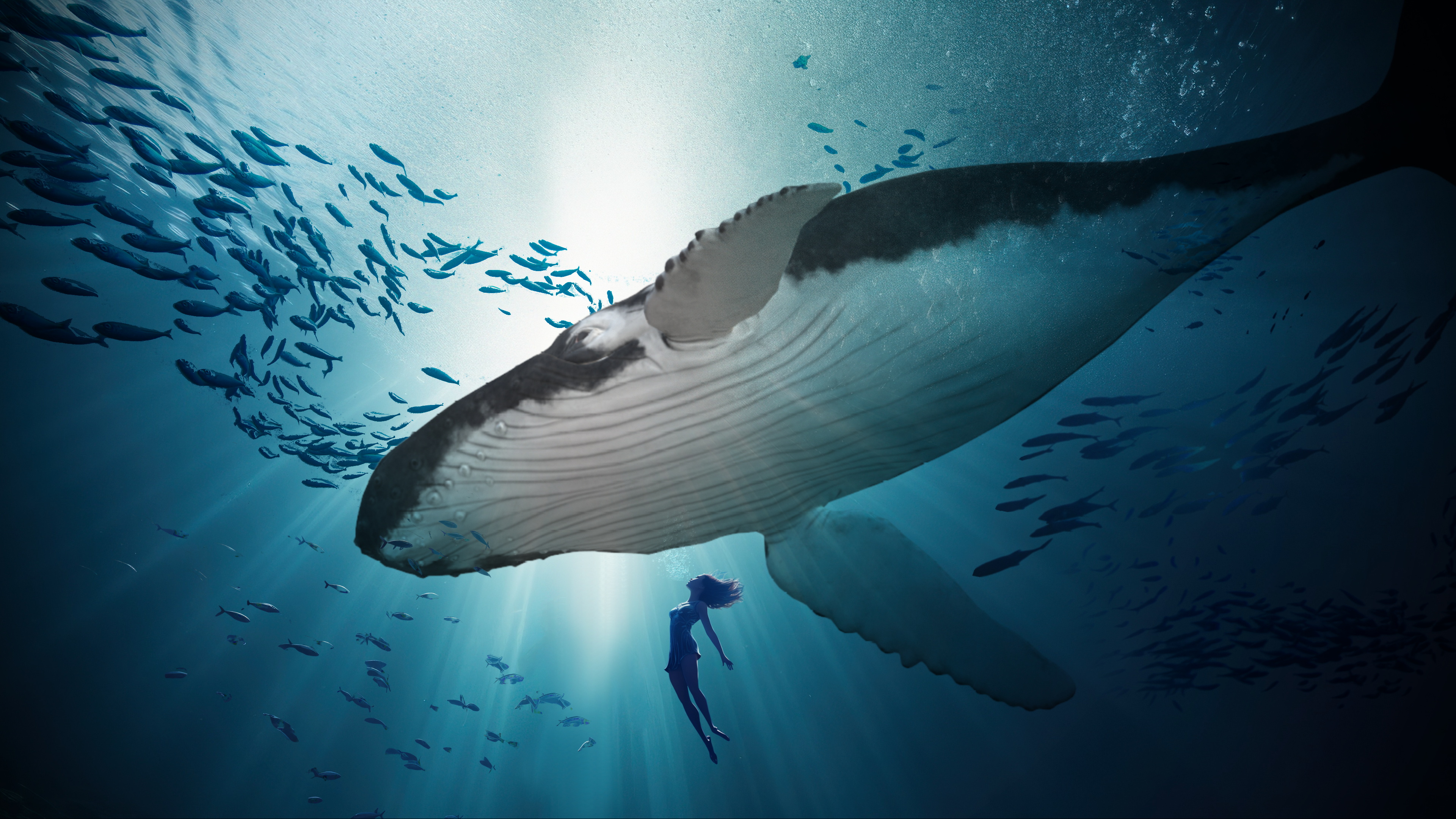 Under The Whale (4K Wallpaper) by Jimking on DeviantArt