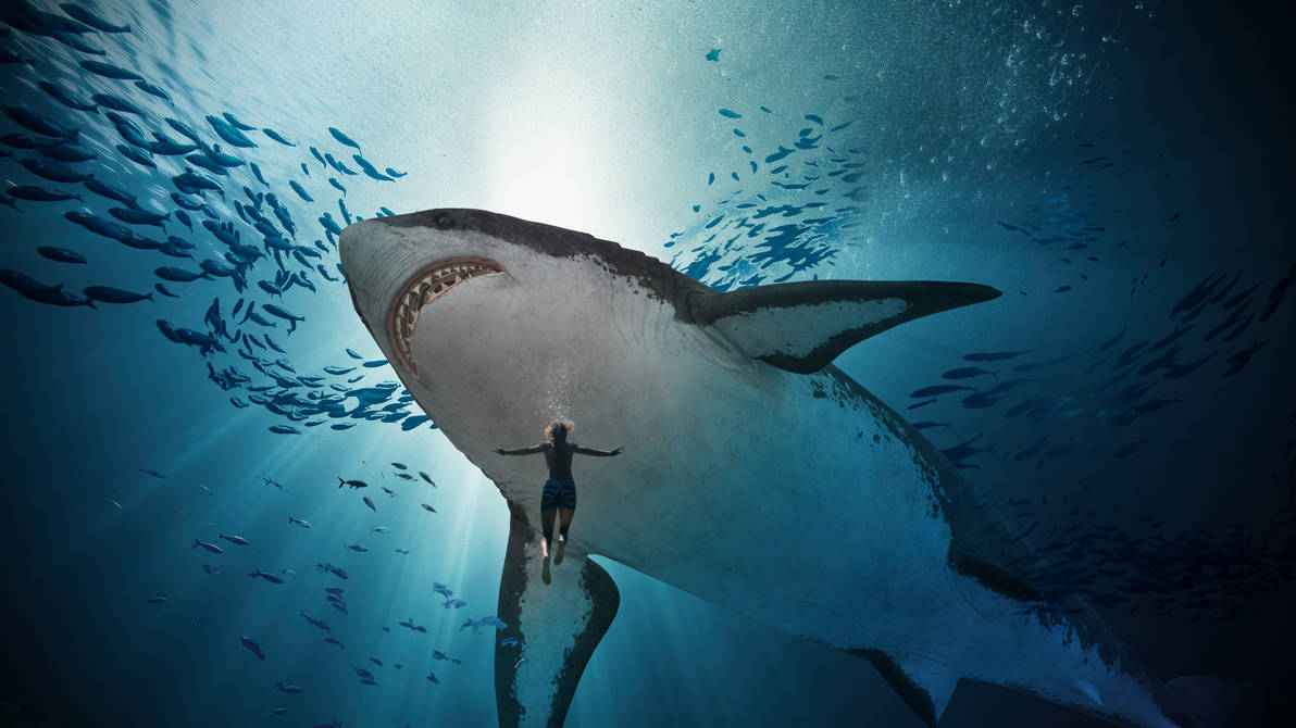 Under The Shark (4K Wallpaper) by Jimking on DeviantArt
