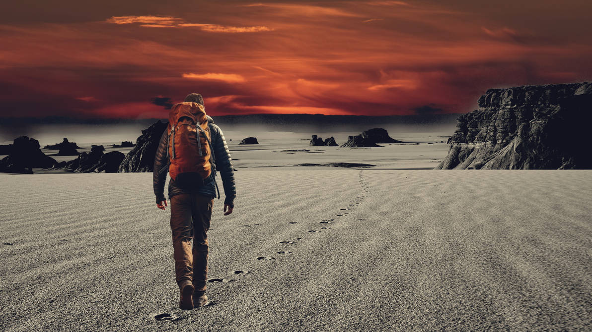 Walking In The Wilderness 1 (4K Wallpaper) by Jimking on DeviantArt