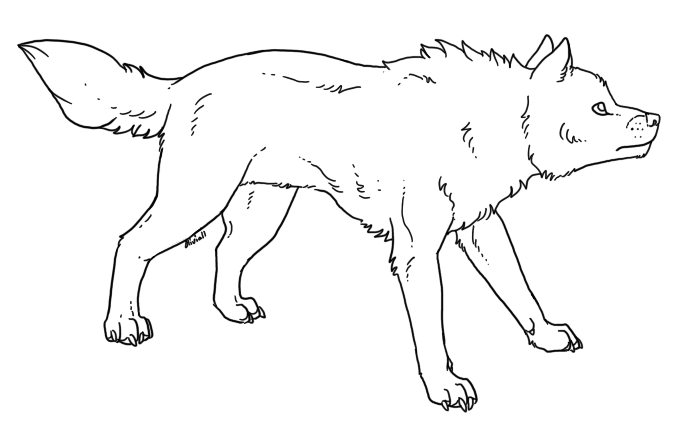 Free Wolf Template by FerianMoon on DeviantArt