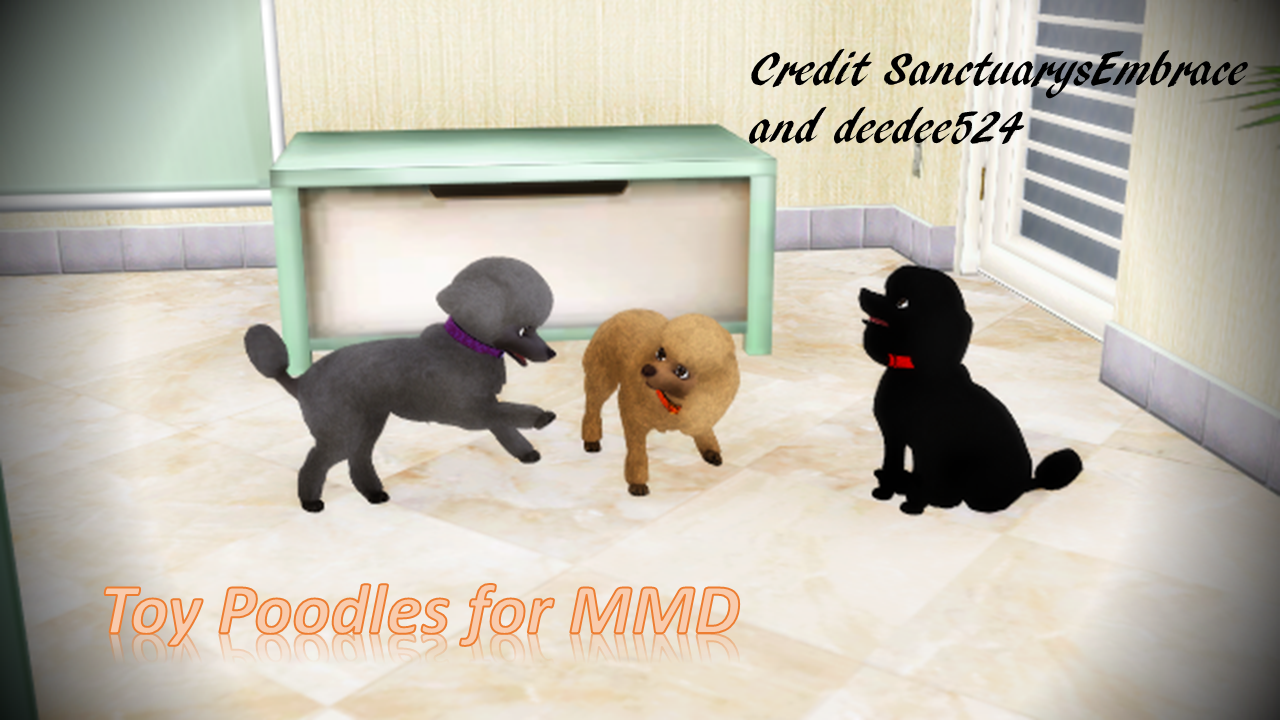 Toy Poodle Edits + Poses - MMD DL by deedee524 on DeviantArt
