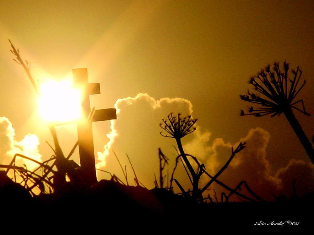 Beautiful Elise. by SomewhatHyper on DeviantArt