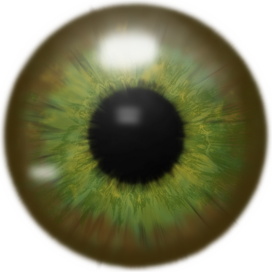 Iris-001 by Perlyn on DeviantArt