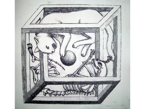 Schrodinger by CrixMadine13 on DeviantArt