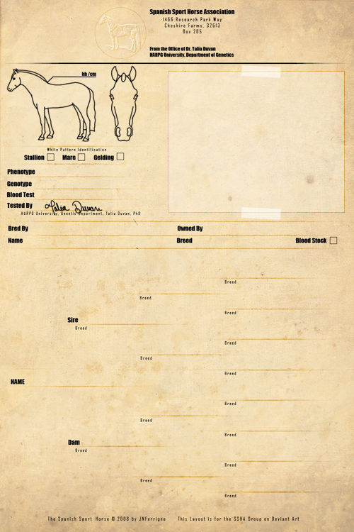 Spanish Sport Horse Papers by JNFerrigno on DeviantArt