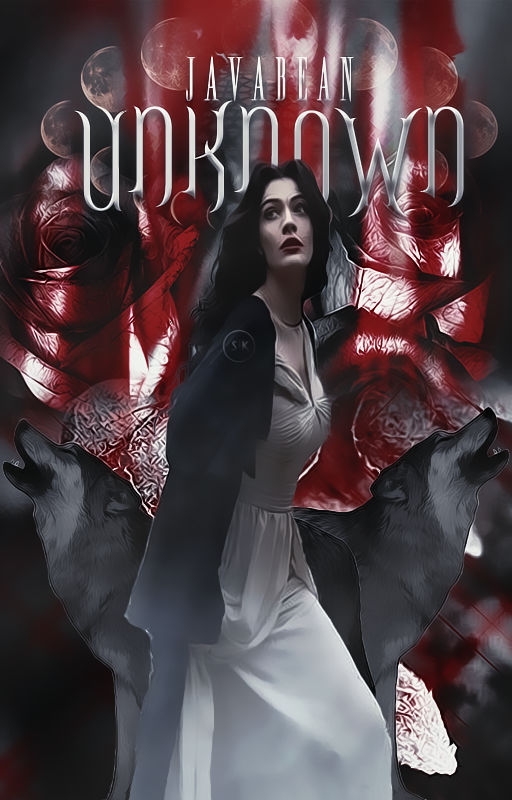 Unknown- Book cover by SarahKing00 on DeviantArt