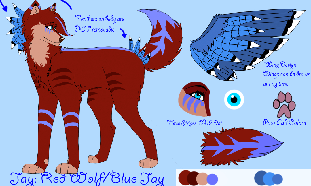 Jay Reference -Updated- by Hibiscus-Dragon on DeviantArt
