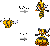Combee Evolution