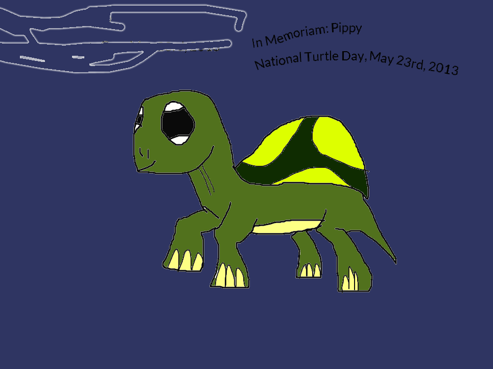 In Memoriam, National Turtle Day by SuperAwesomeGodzilla on DeviantArt