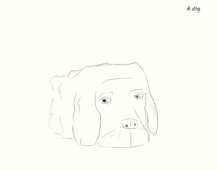 Failed dog by DoctorWhokenzie on DeviantArt