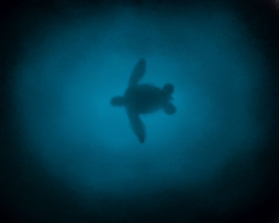 DeepOcean by RagezillaGamer on DeviantArt