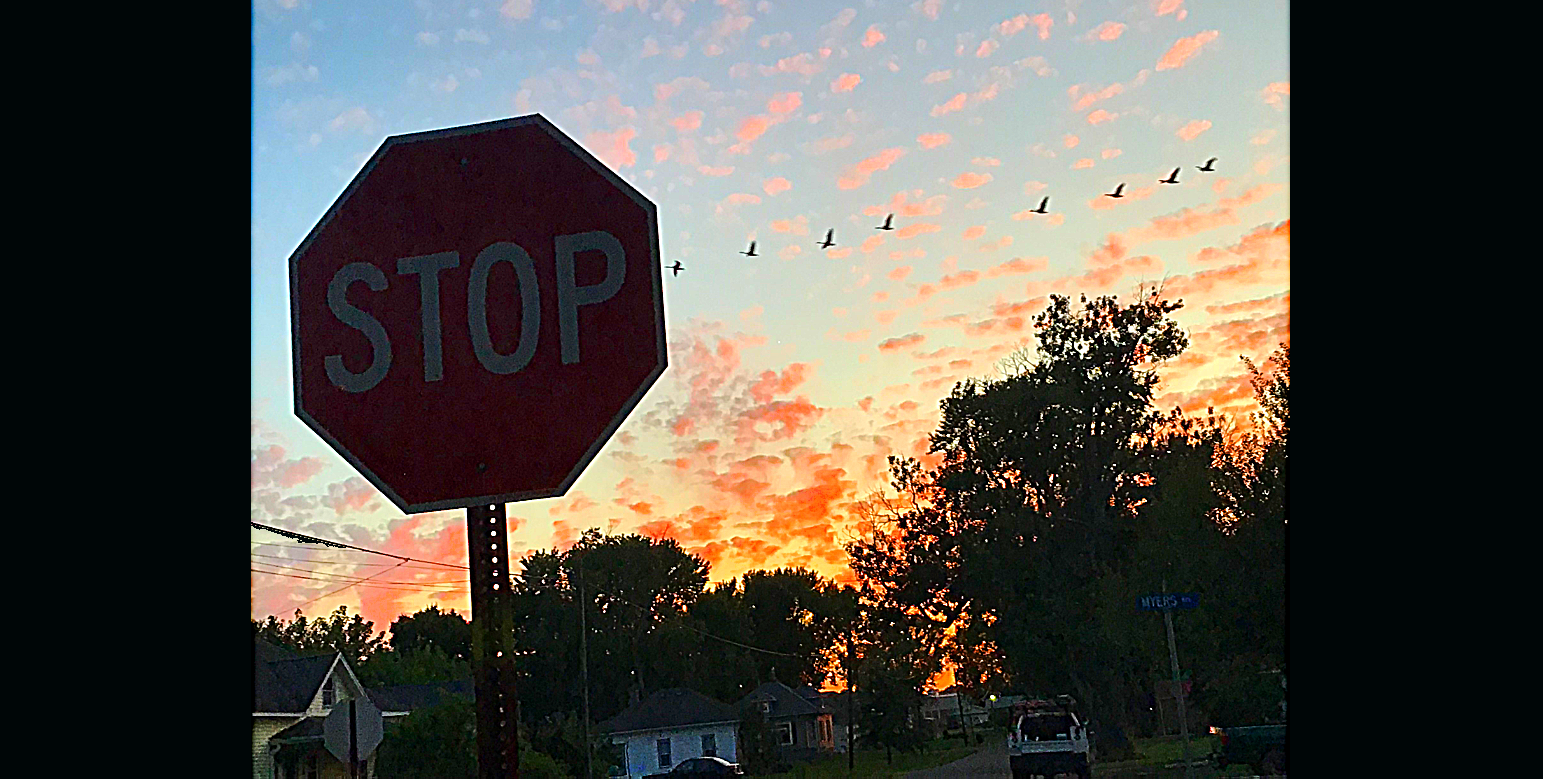 stop sign by holman123 on DeviantArt