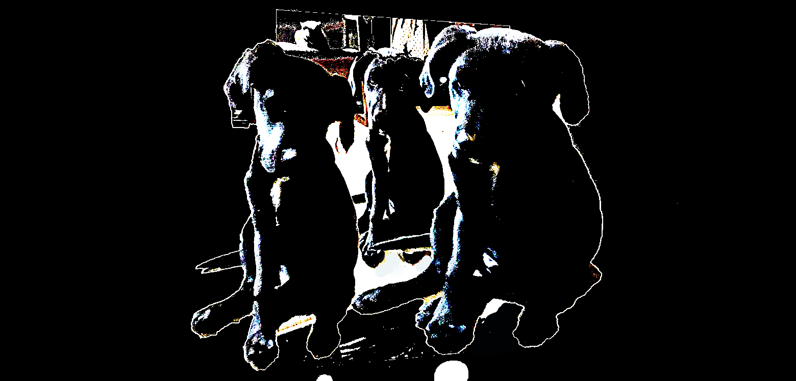 PUPPY-55436 by holman123 on DeviantArt