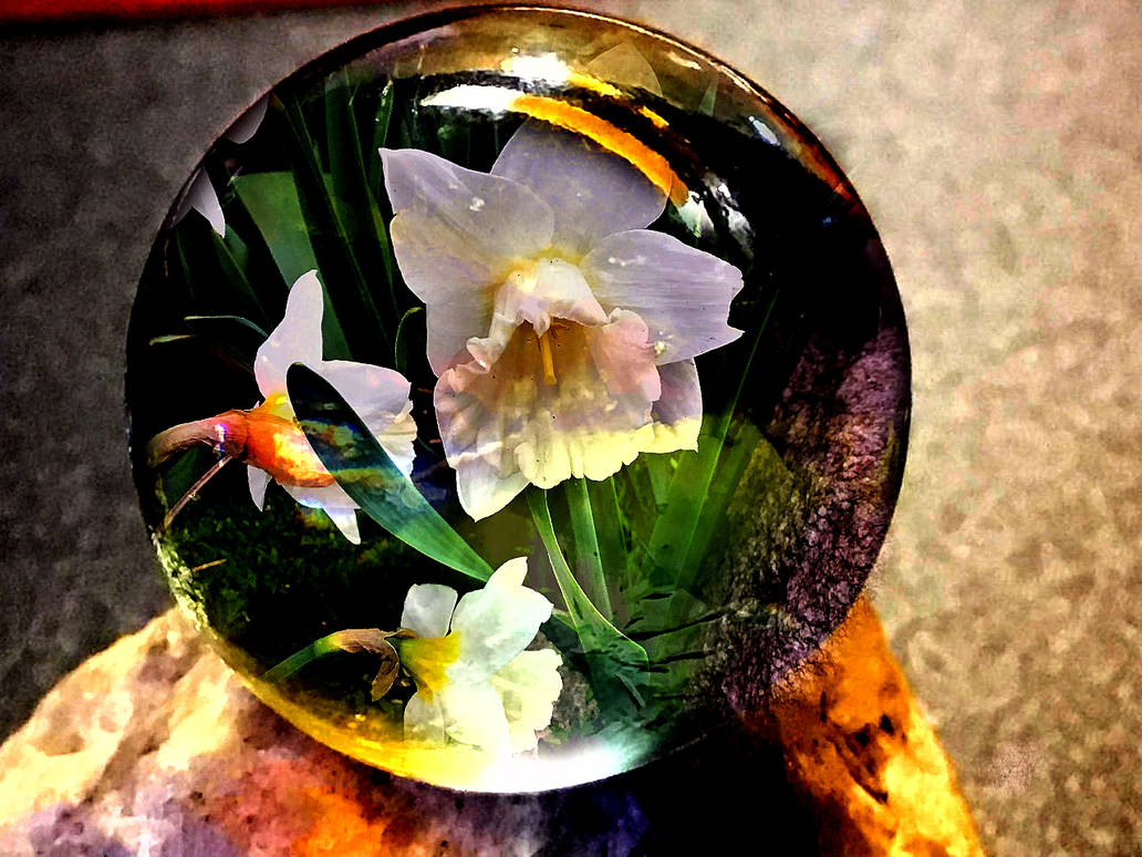 flower-9-glassball by holman123 on DeviantArt