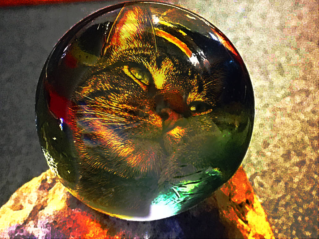 THE CAT-123-2 by holman123 on DeviantArt