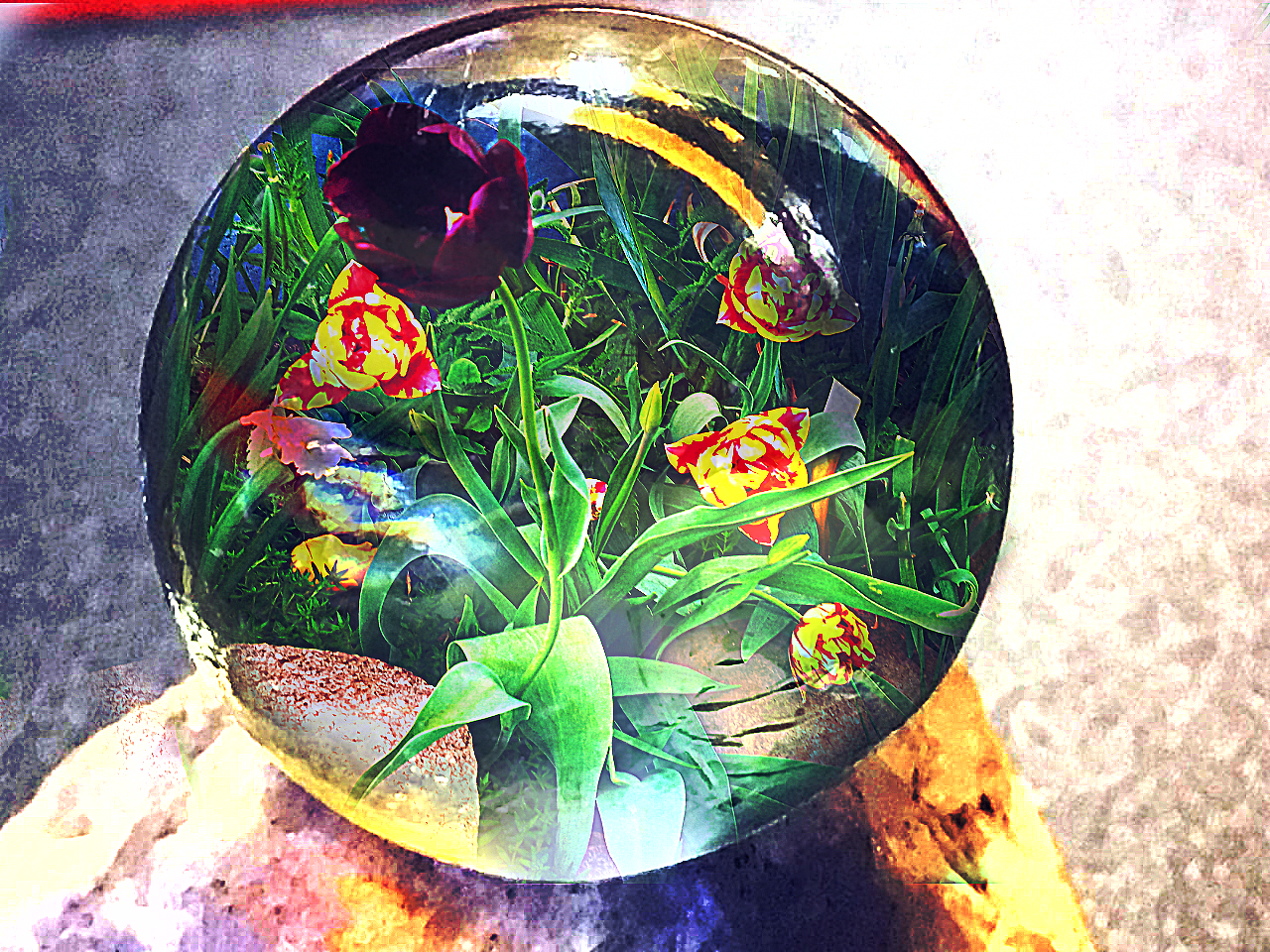 GLASSBALL-FLOWER-009175 by holman123 on DeviantArt