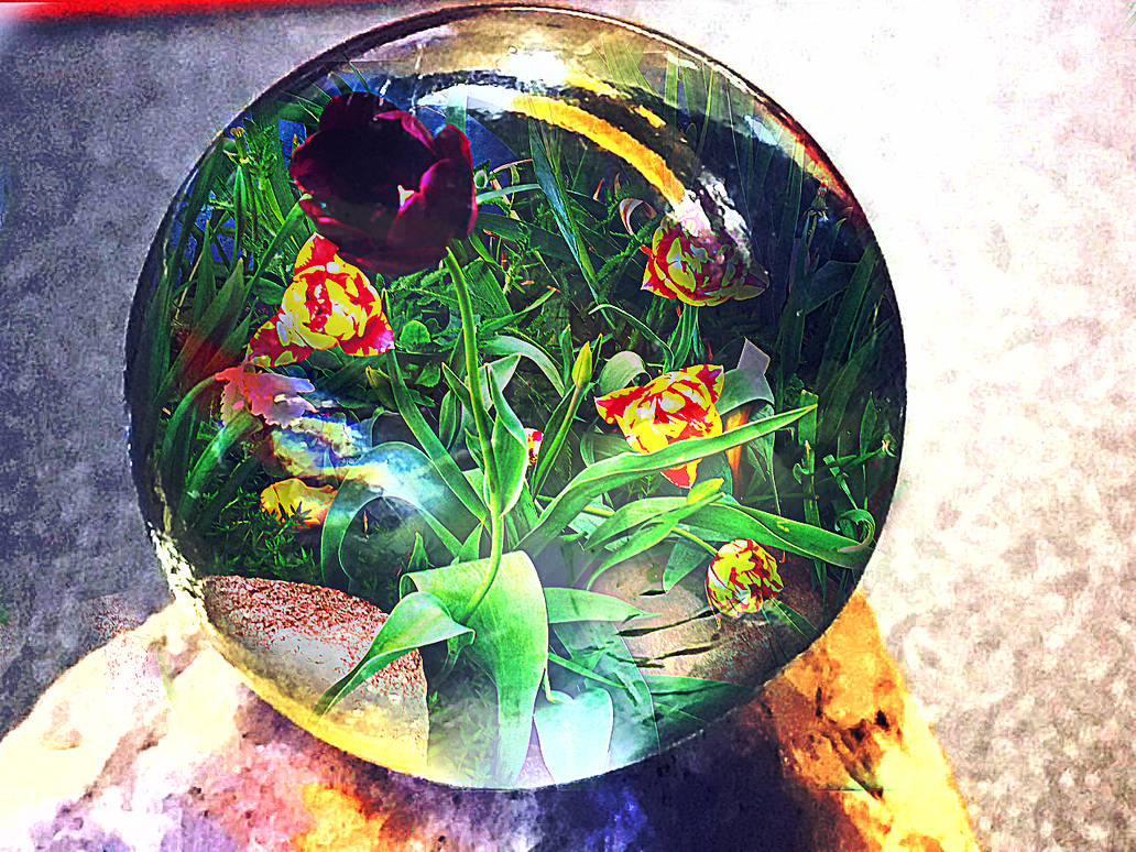 GLASSBALL-FLOWER-009175 by holman123 on DeviantArt