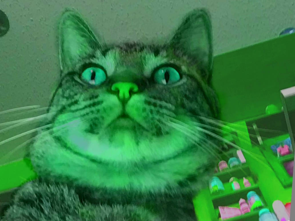 THE CAT-VID-554 by holman123 on DeviantArt