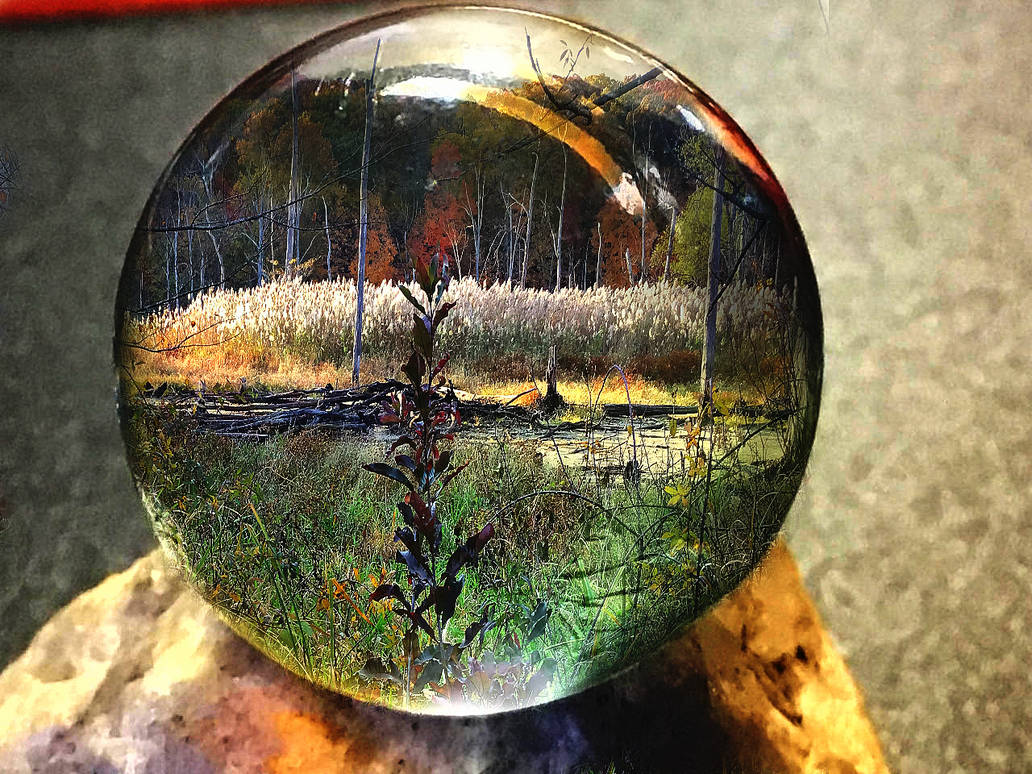 HERON PARK-GLASSBALL-443 by holman123 on DeviantArt