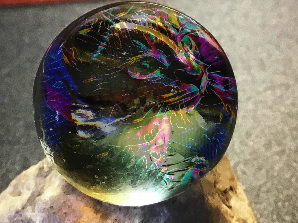 Cat Glassball 4308 By Holman123 On Deviantart