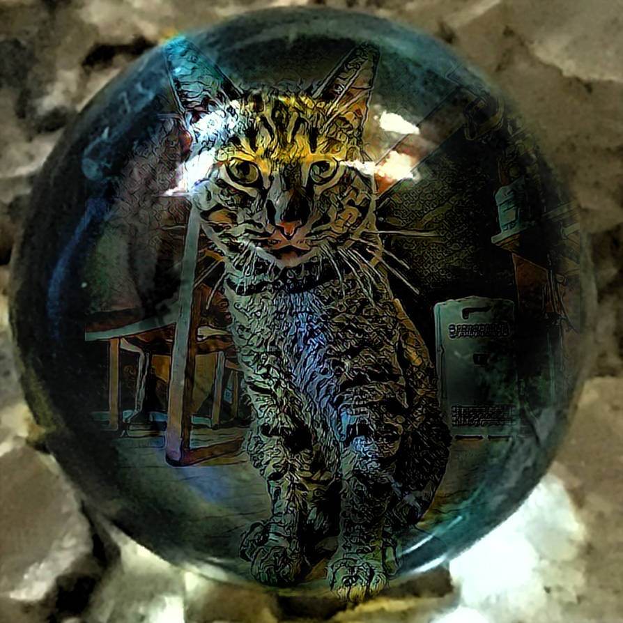 cat\marble by holman123 on DeviantArt