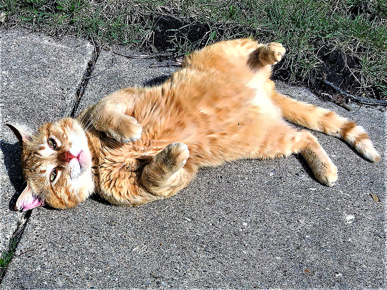 BUDDY-WARM CONCRETE by holman123 on DeviantArt