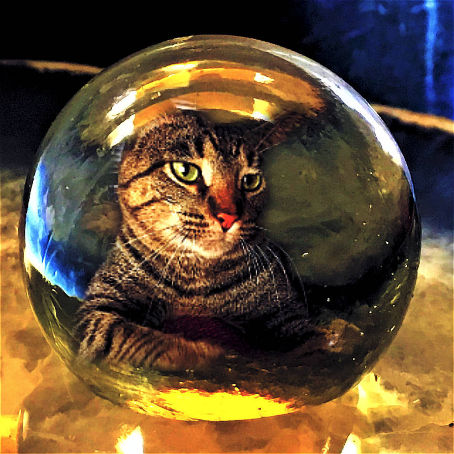 Glassball2cat 2161 By Holman123 On Deviantart