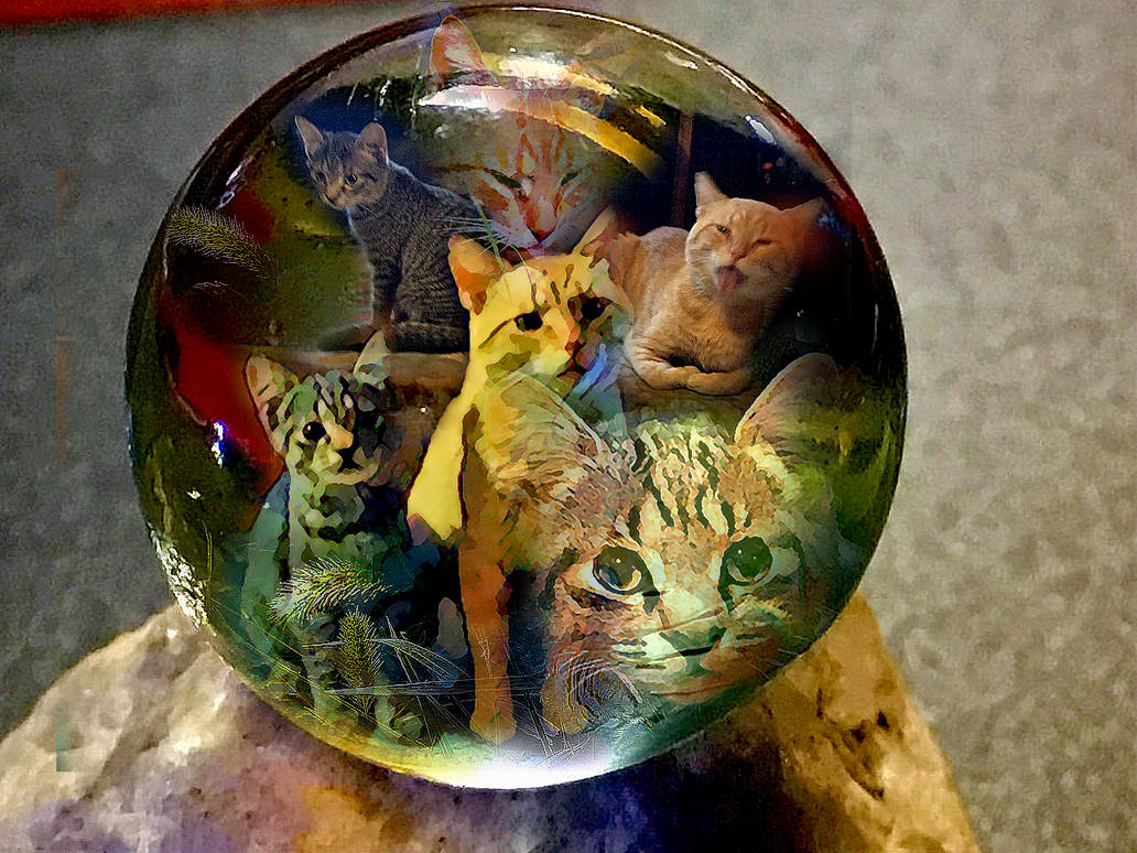 buddy-missy-glassball-548 by holman123 on DeviantArt