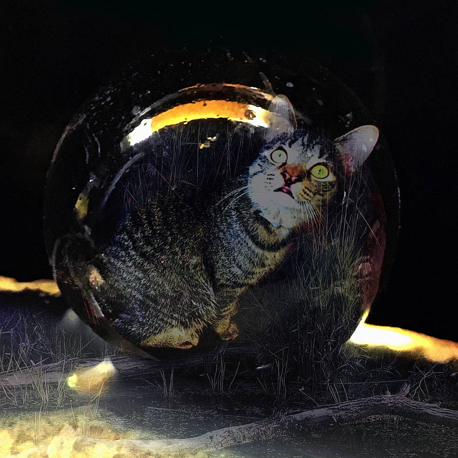 MISSY-66549 WET MARBLE by holman123 on DeviantArt