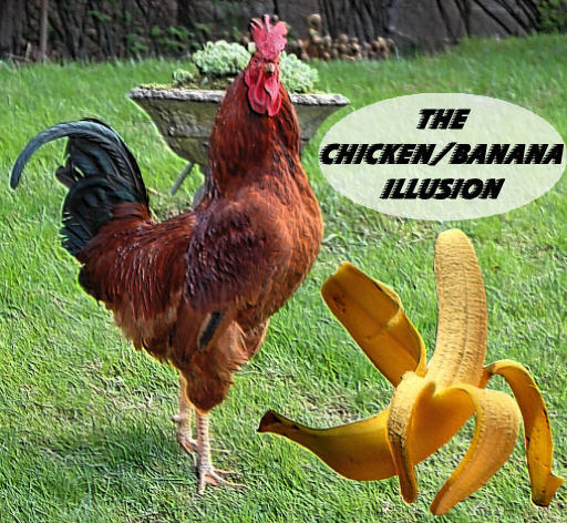 Chicken Banana Illusion by Durkee341 on DeviantArt