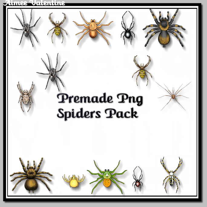 Premade Png Spiders Pack by LadyValsArt1983 on DeviantArt