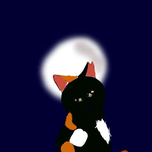 Mapleshade by waterlillyheart87654 on DeviantArt