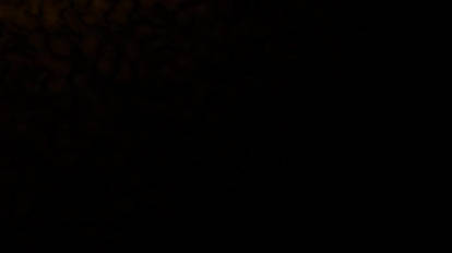 avaragefnafblender User Profile | DeviantArt