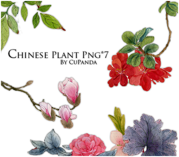 Chinese Plant Png by CuPanda on DeviantArt