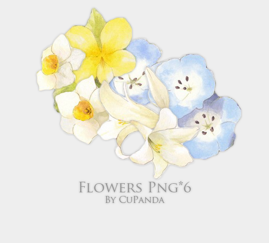 Flowers Png(2) by CuPanda on DeviantArt