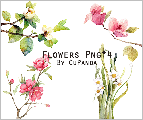 Flowers Png(3) by CuPanda on DeviantArt