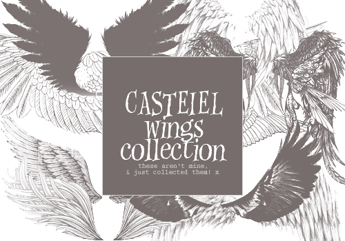 Wings Textures by casteiel by casteiel on DeviantArt