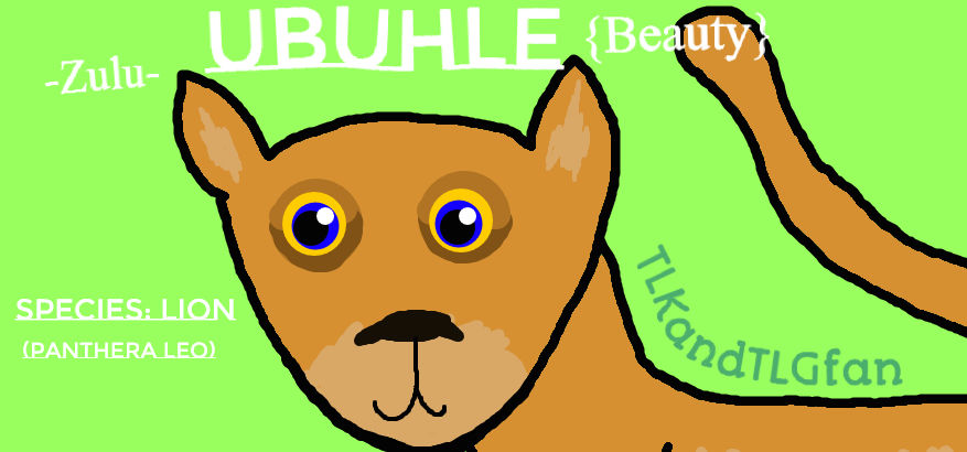 Ubuhle - Lioness by TLKandTLGfan on DeviantArt