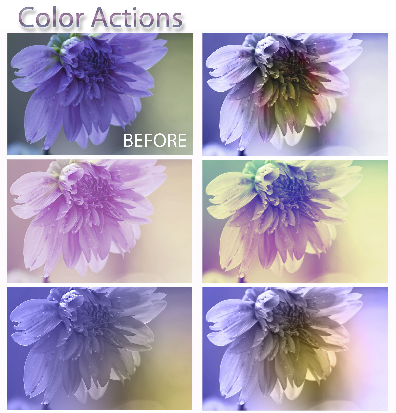 Free Photoshop Color Actions by ibjennyjenny on DeviantArt