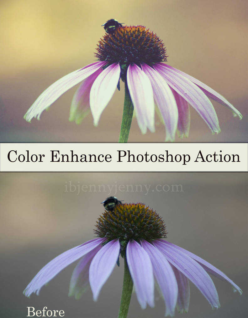 Free Color Enhance Photoshop Action by ibjennyjenny on DeviantArt
