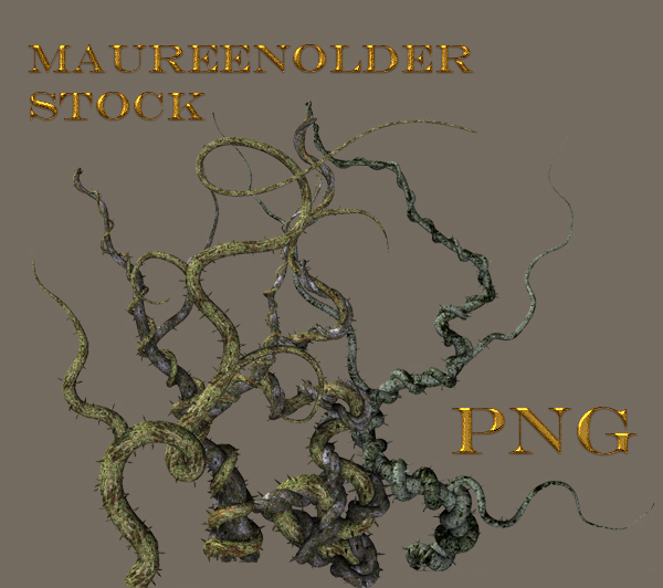 STOCK PNG heavy vines by MaureenOlder on DeviantArt