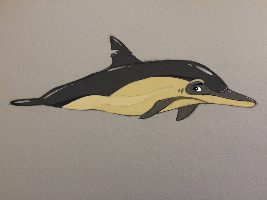 common dolphin,-- peter by Seas-of-Halcyon on DeviantArt