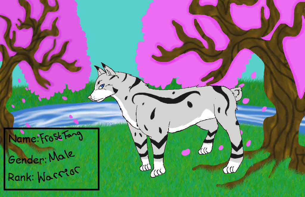 Frostfang CherryblossomClan Application by H202Cadfan on DeviantArt