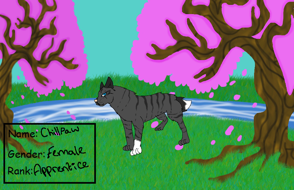 Chillpaw Apprentice Application by H202Cadfan on DeviantArt