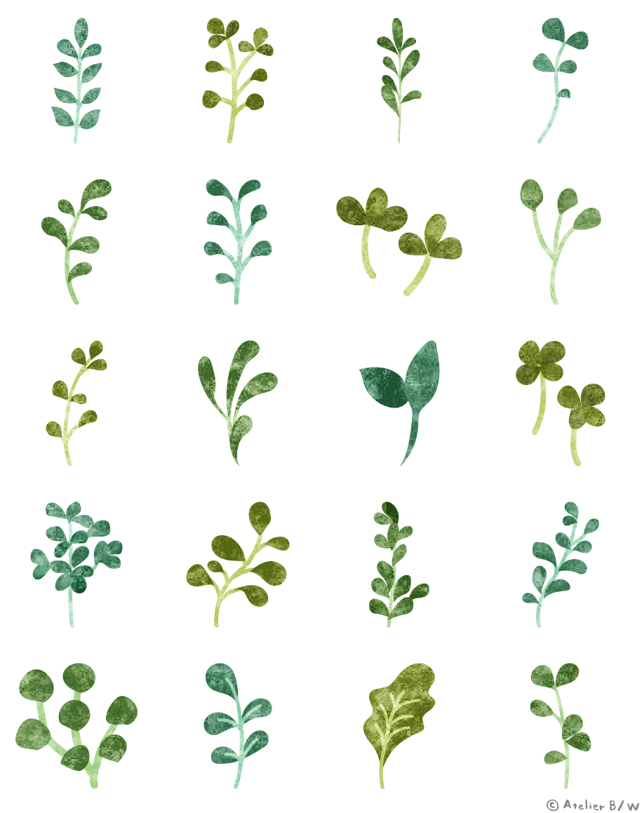 Various Herbs and Leaves 2 by atelier-bw2 on DeviantArt