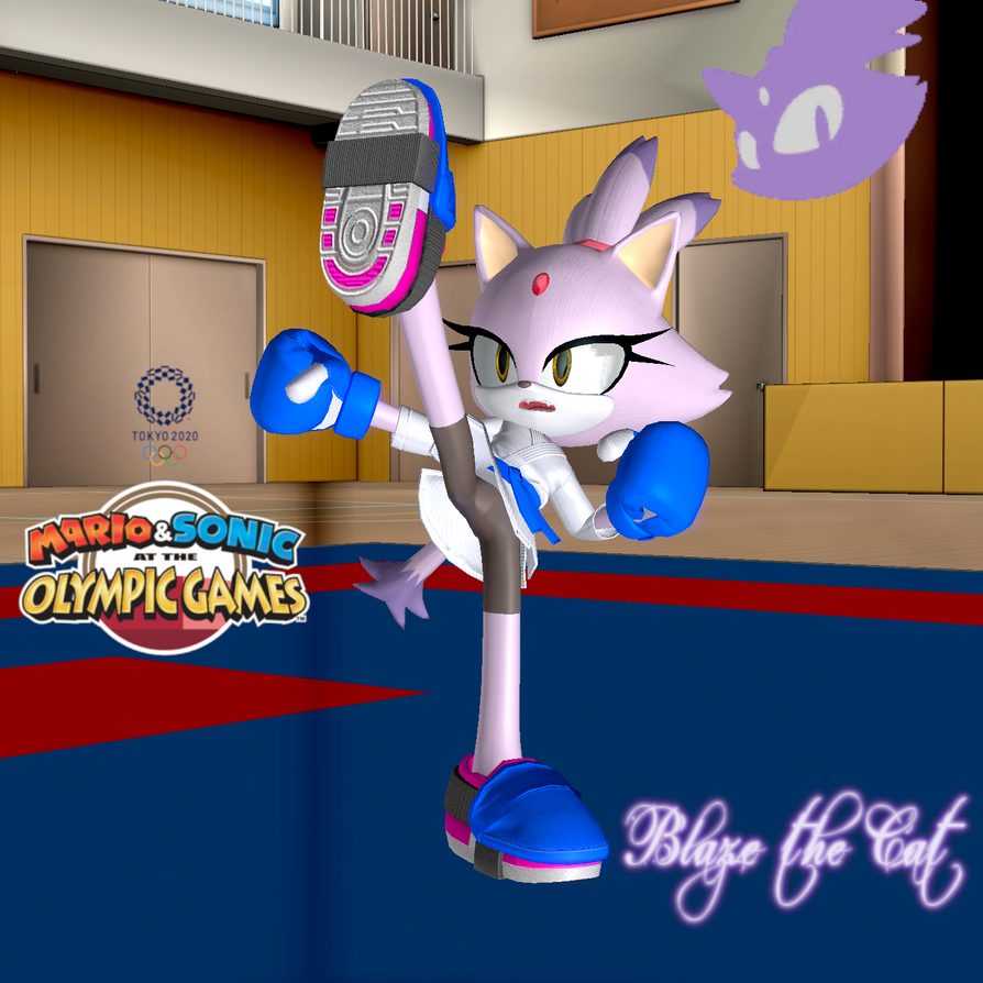 Blaze the Cat (Karate) (Tokyo 2020) (XNALara) by BrutalSurge402X on ...