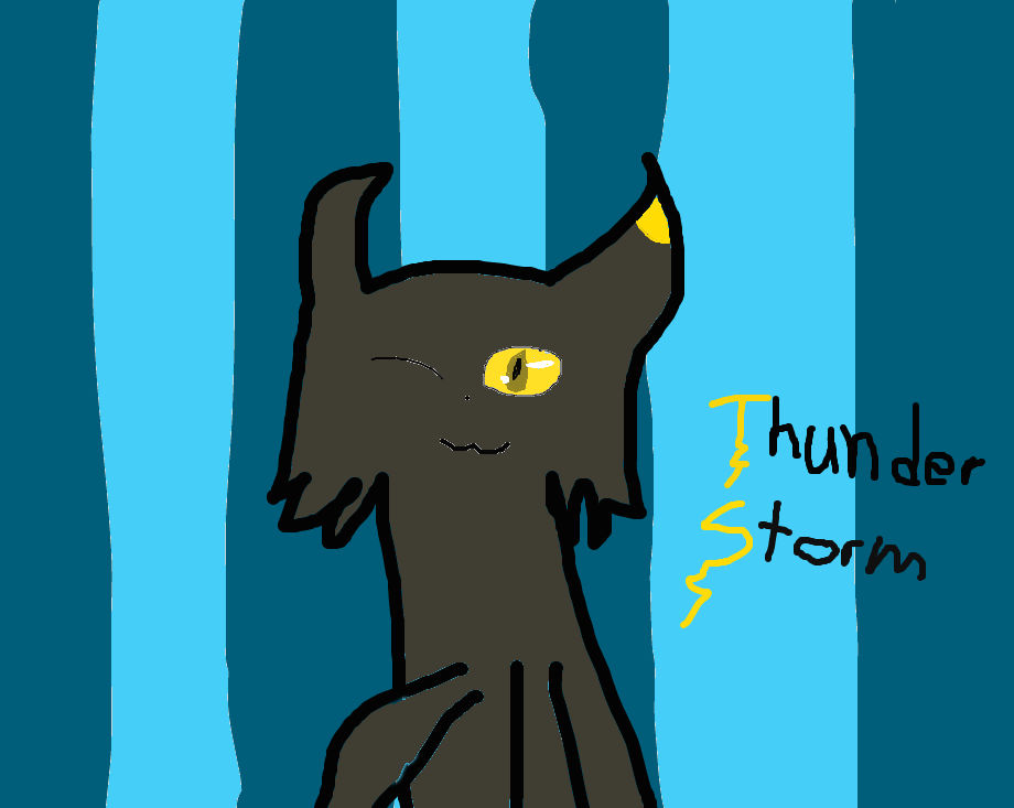 ThunderStorm (Warrior cat OC) by mqssygarden on DeviantArt