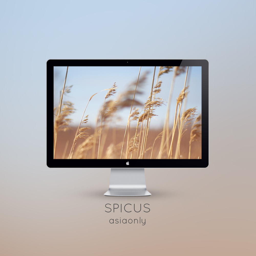 Spicus by ASIAONLY on DeviantArt