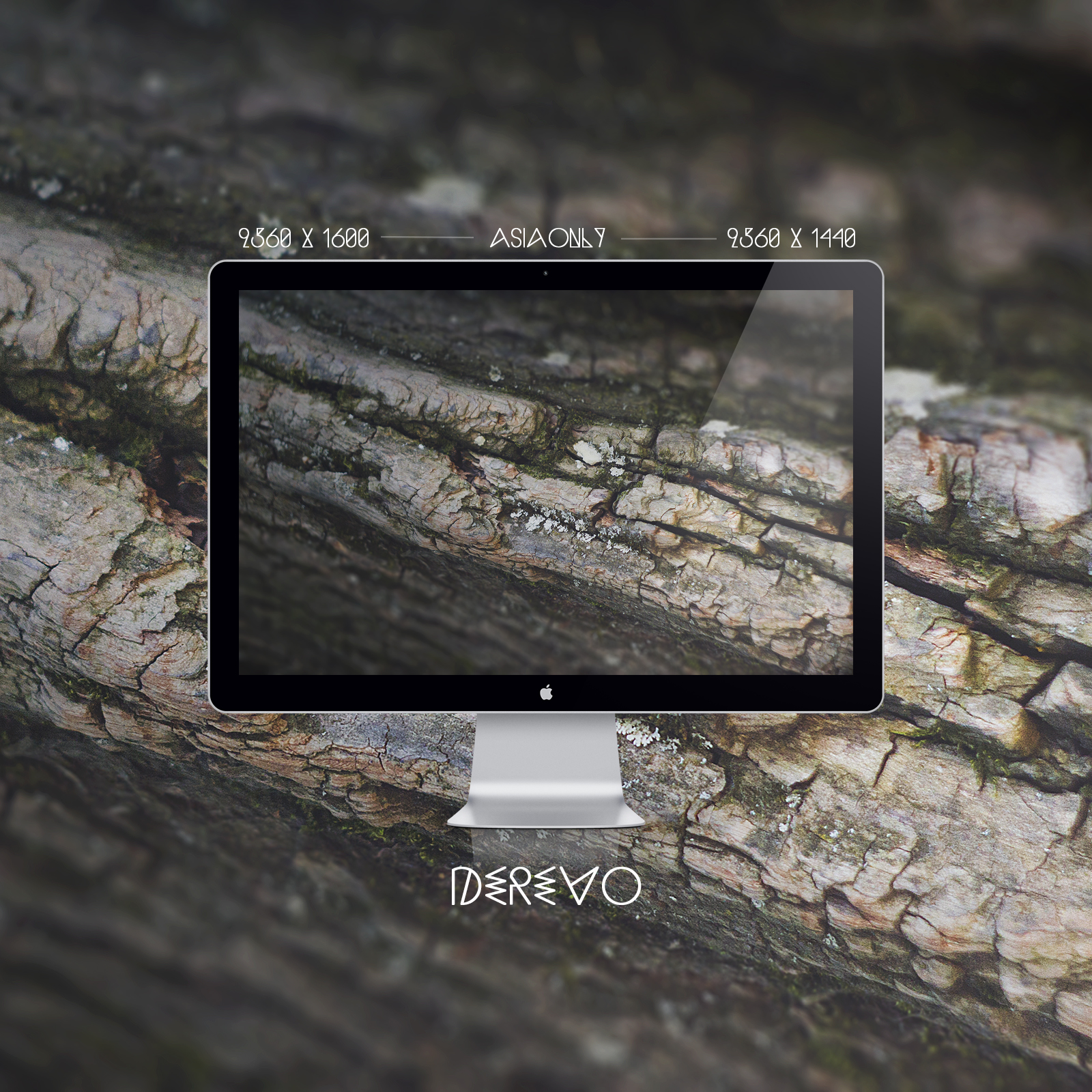 Derevo by ASIAONLY on DeviantArt