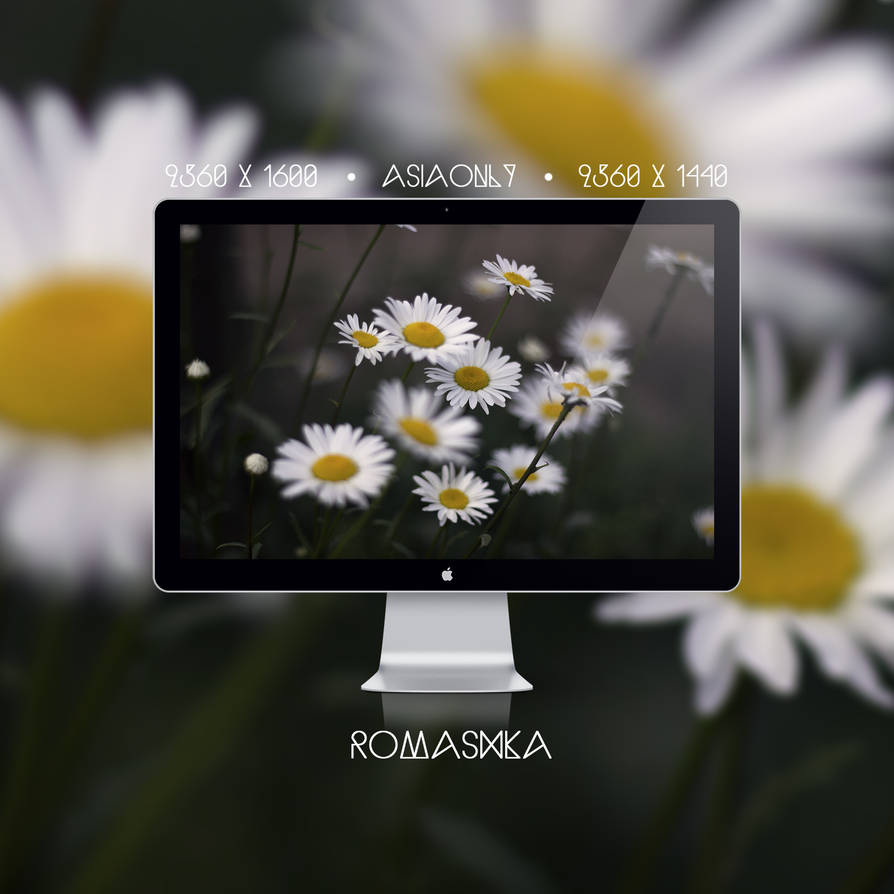 Romashka by ASIAONLY on DeviantArt